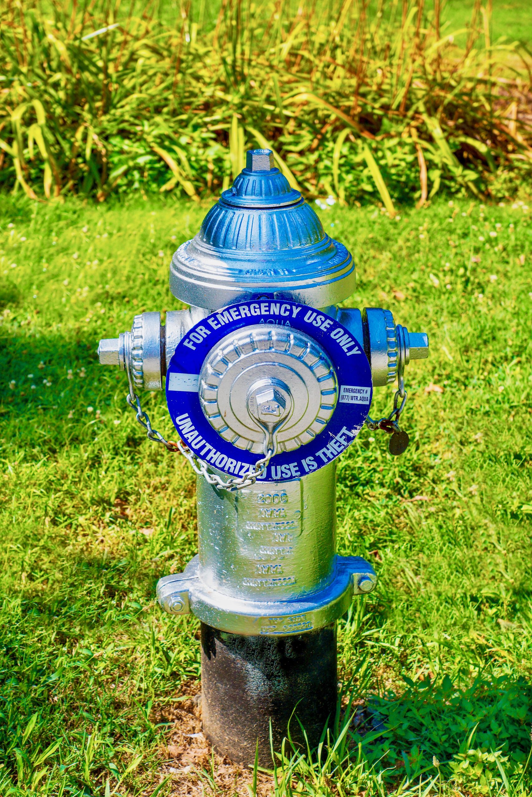 Image – Fire Hydrant | News, Sports, Jobs - Marietta Times